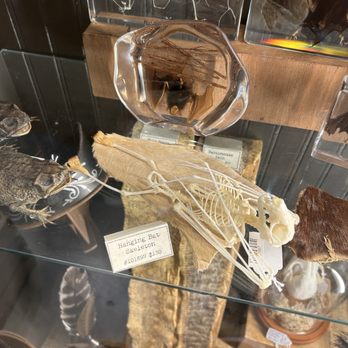 PAXTON GATE - Updated October 2025 - 198 Photos & 167 Reviews - 4204 N ...