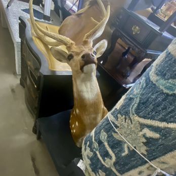 THE GUILD SHOP - Updated August 2024 - 109 Photos & 137 Reviews - 2009 ...