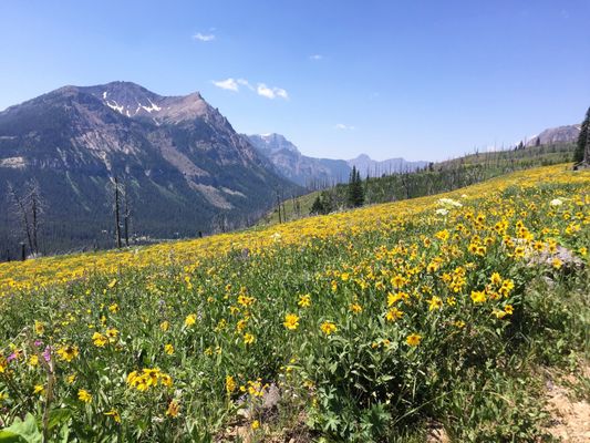 COLTER PASS, COOKE CITY, SILVER GATE CHAMBER - Cooke City-Silver Gate ...