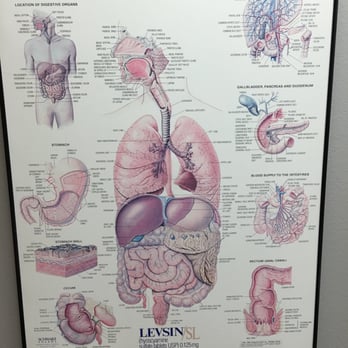 STAVINOHA MICHAEL, PA MD - Updated October 2025 - 1631 North Lp W ...