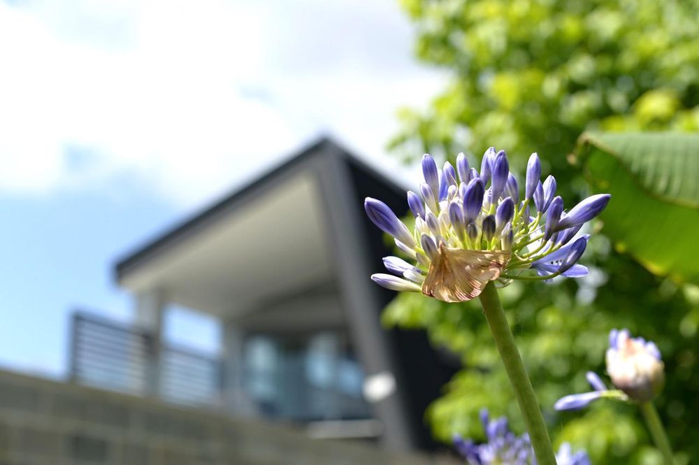 URBAN MOOSE DESIGN - 81 Ogilvy St, Peakhurst New South Wales, Australia ...