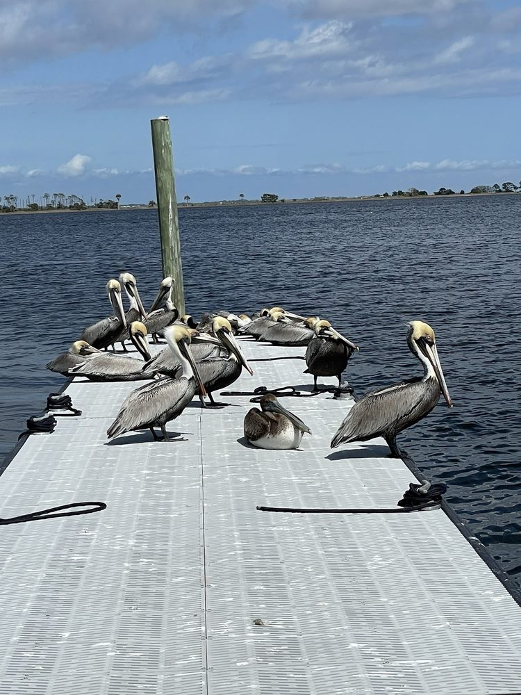 THE SALTY DONKEY - Updated September 2025 - 46 Photos & 26 Reviews - 99 ...