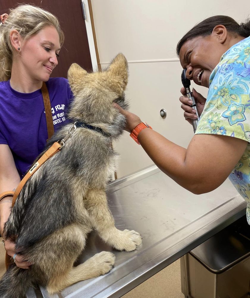 BIG RUN WOLF RANCH - Updated September 2025 - 84 Photos & 35 Reviews ...