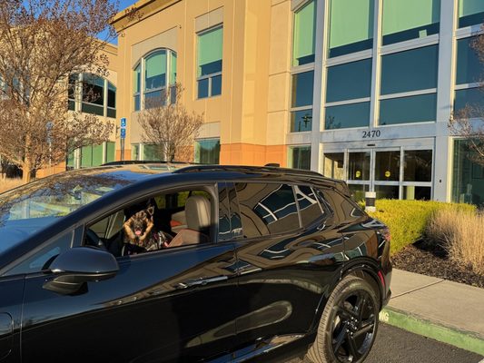 SILVEIRA CHEVROLET - Updated December 2025 - 51 Photos & 79 Reviews ...