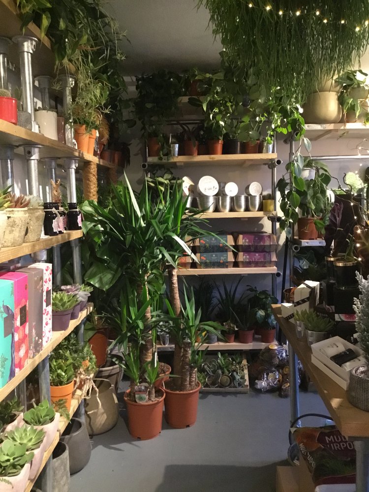 THE GARDEN SHACK - Updated September 2025 - 56 Upper Groud, London ...