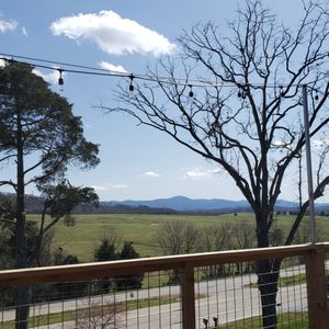 DEVILS BACKBONE BREWING COMPANY - 219 Photos & 158 Reviews 【50 ...