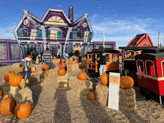 SEASONAL ADVENTURES PUMPKIN PATCH & TREES - Updated October 2025 - 34 Photos & 25 Reviews - 1001 ...
