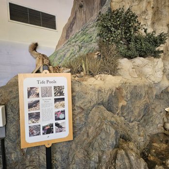 POINT VICENTE INTERPRETIVE CENTER - Updated November 2025 - 1046 Photos & 216 Reviews - 31501 ...
