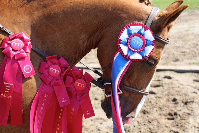 CLADDAGH STABLES - Updated December 2025 - 4393 Tremaine Road, Milton ...