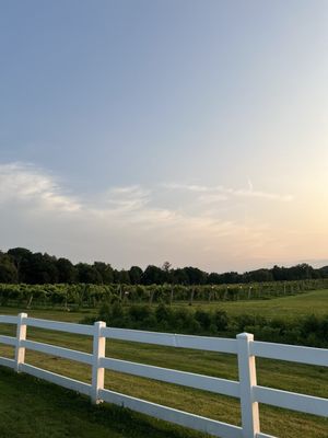 HAWK RIDGE WINERY - Updated October 2024 - 376 Photos & 177 Reviews ...