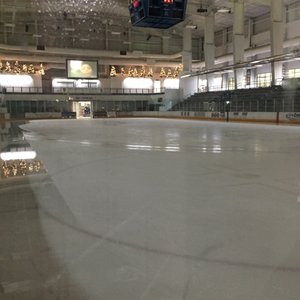 ICE CENTRE AT THE PROMENADE - 14 Photos & 23 Reviews - 10710 ...