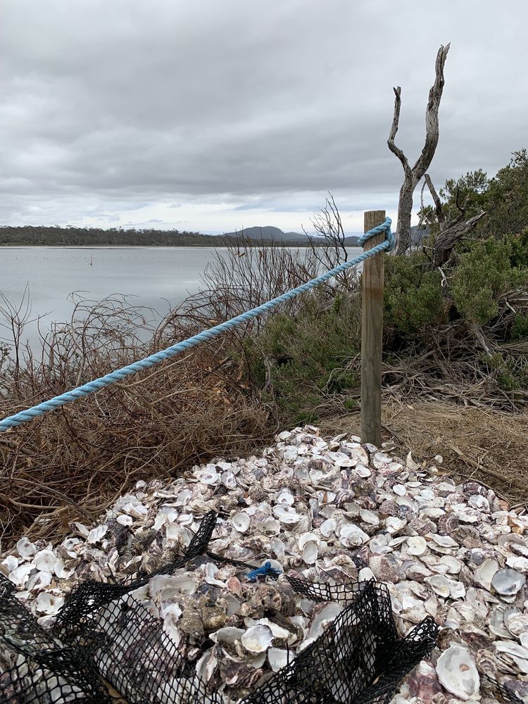 MELSHELL OYSTER SHACK - Updated January 2025 - 7 Yellow Sandbanks Rd ...