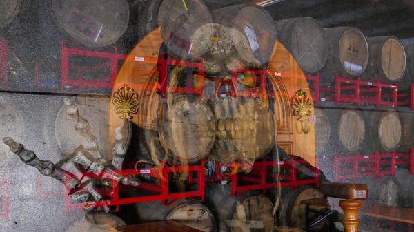 BRASH BREWING - 158 Photos & 114 Reviews - 510 W Crosstimbers St ...