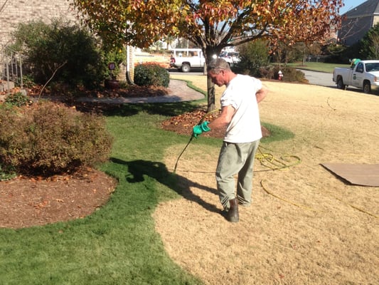 Extraordinary Agronomic Lawn Management Pictures