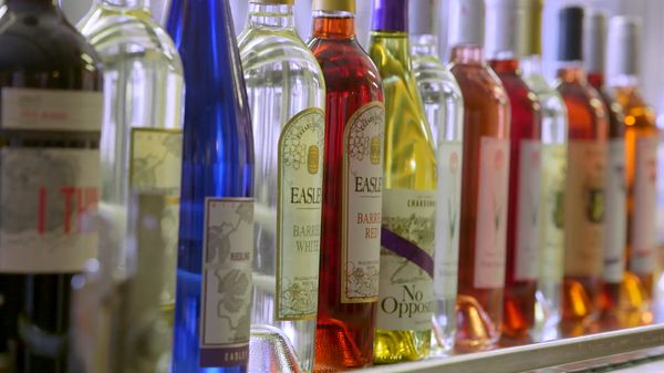 EASLEY WINERY - Updated August 2024 - 250 Photos & 150 Reviews - 205 N ...