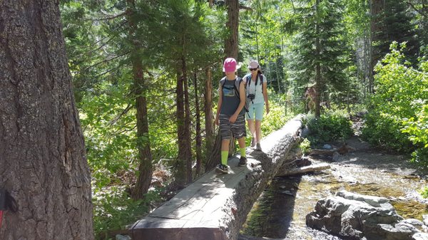 JAMISON MINE TRAILHEAD - Updated May 2026 - 15 Photos - Jamison Mine Rd ...