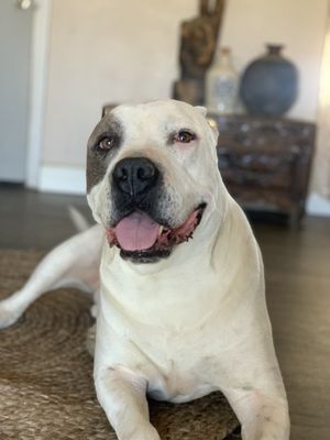 LOMA LINDA ANIMAL HOSPITAL - Updated September 2025 - 256 Photos & 882 ...