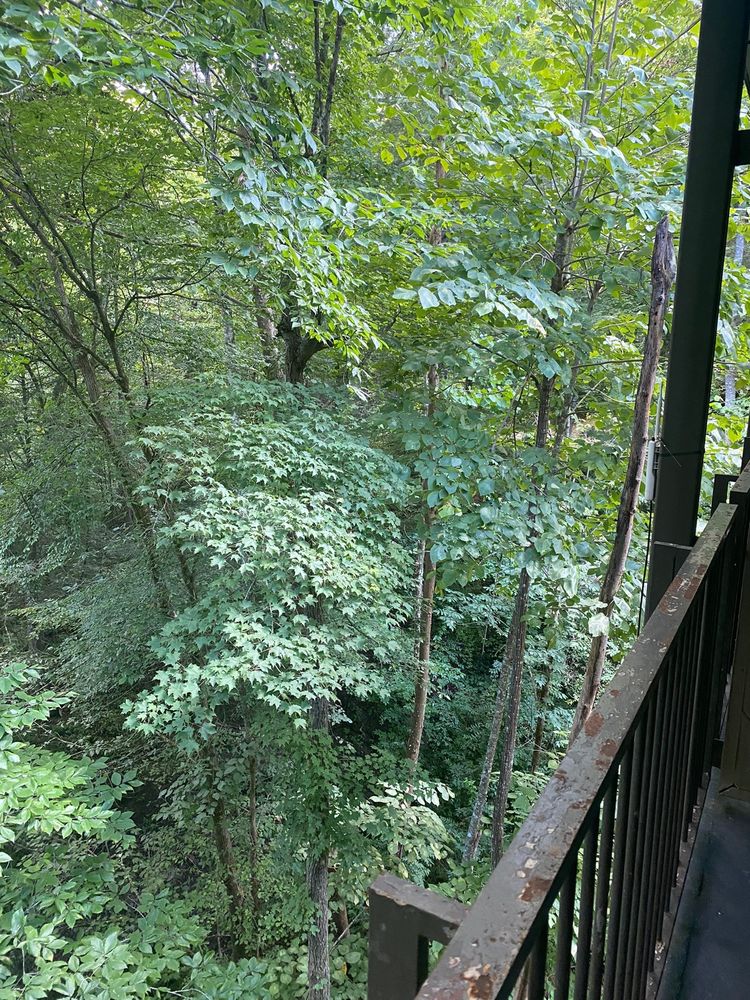 HEMLOCK LODGE - 63 Photos & 16 Reviews - 2135 Natural Bridge Rd, Slade ...