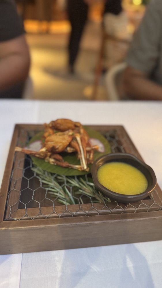 AMAZÓNICO MIAMI - Updated January 2026 - 235 Photos & 65 Reviews - 800 ...