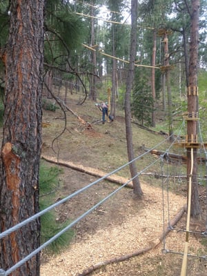 ZIP LINE & AERIAL ADVENTURE PARK - Updated June 2026 - 11 Photos - 203 ...