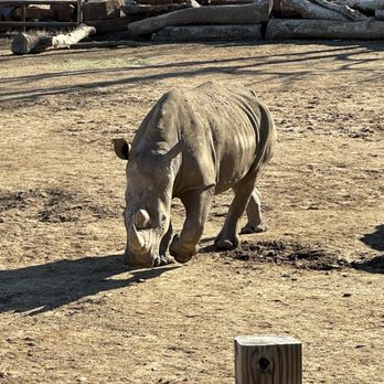 TULSA ZOO - Updated May 2024 - 495 Photos & 121 Reviews - 6421 E 36th ...