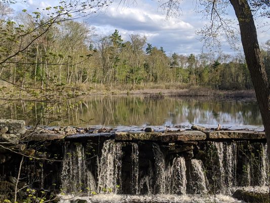 SACHUEST POINT NATIONAL WILDLIFE REFUGE - Updated August 2024 - 166 ...