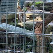 BEE CITY ZOO - 319 Photos & 81 Reviews - 1066 Holly Ridge Ln ...