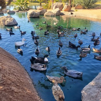 FREESTONE PARK - Updated January 2026 - 257 Photos & 116 Reviews - 1045 ...