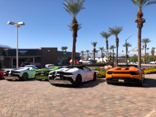 INDIGO AUTO GROUP - Updated July 2025 - 73 Photos & 101 Reviews - 13911 ...