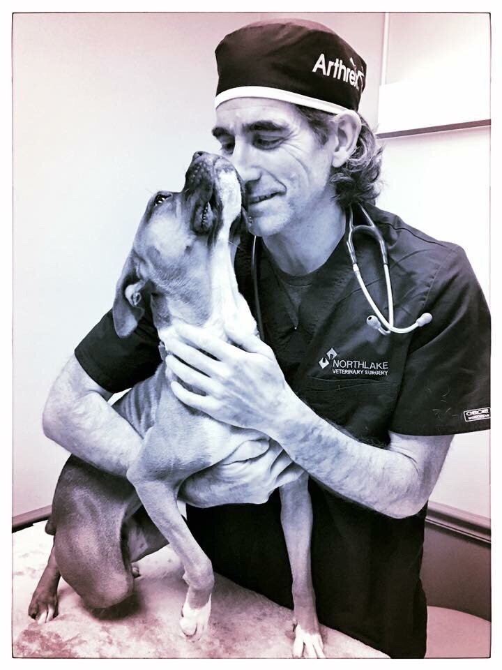 ATLANTA BOXER RESCUE - Updated December 2025 - 12 Photos & 18 Reviews ...