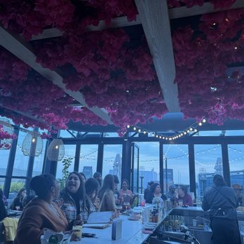 LUCHA ROSA ROOFTOP BAR - Updated May 2024 - 169 Photos & 76 Reviews ...
