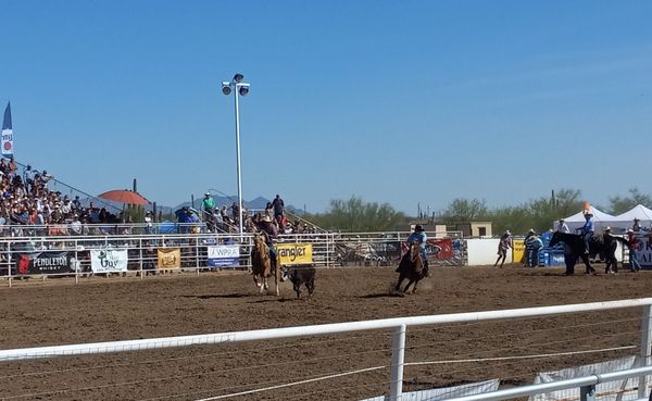 CAVE CREEK RODEO - Updated October 2025 - 37201 N 28th St, Cave Creek ...