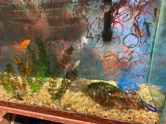 ED’S PET WORLD - Updated October 2025 - 68 Photos & 54 Reviews - 2730 ...