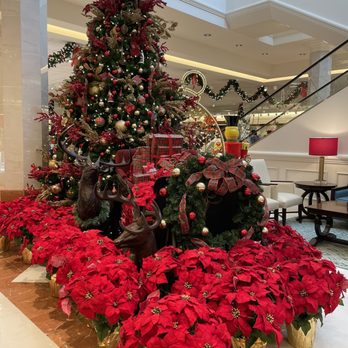 ROSEDALE CENTER - Updated December 2025 - 74 Photos & 82 Reviews - 1595 ...