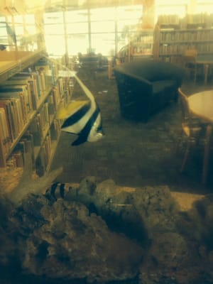 WESTLAKE BRANCH LIBRARY - Updated December 2025 - 22 Photos & 45 ...