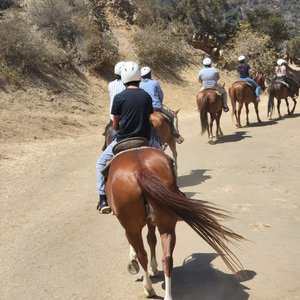 SUNSET RANCH HOLLYWOOD STABLES - 712 Photos & 615 Reviews - Horseback ...