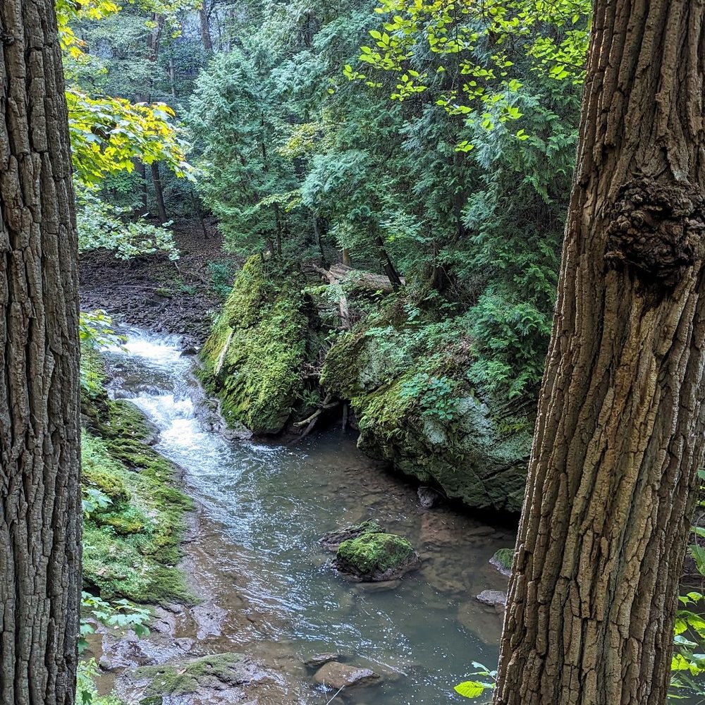 Waterfall Yellow Springs Ohio