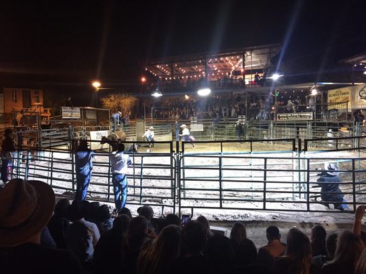 BUFFALO CHIP SALOON & STEAKHOUSE - 427 Photos & 647 Reviews - 6823 E ...