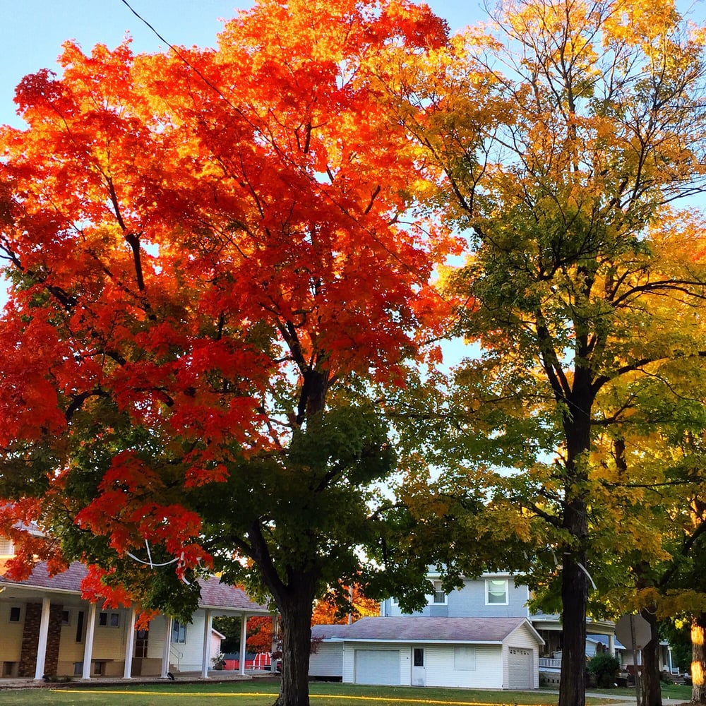 CITY OF ARCOLA - Updated September 2024 - 123 E Main St, Arcola ...