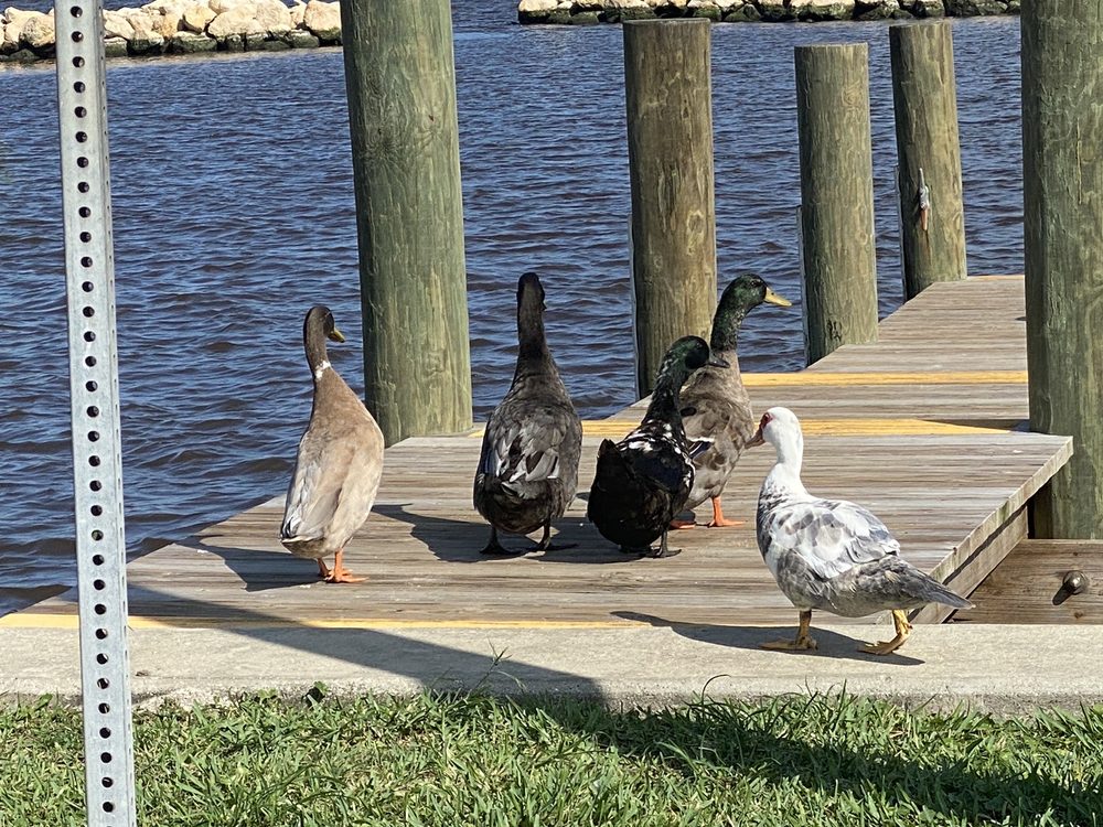 GRANADA PIER BAIT & TACKLE - Updated August 2024 - 11 Photos - 1 S ...