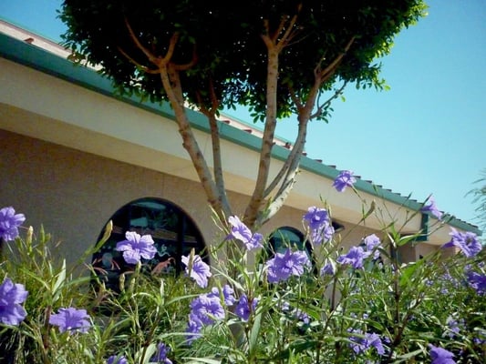 MILLENNIUM HIGH SCHOOL - Updated August 2025 - 16 Photos - 14802 W ...