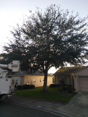 LYONS FAMILY TREE CARE - Updated October 2025 - 12 Photos - 12220 ...