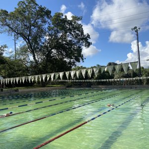 DEEP EDDY POOL - 99 Photos & 149 Reviews - 401 Deep Eddy Ave, Austin ...