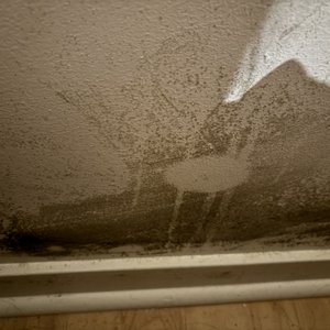 OLUME - Updated August 2025 - Request Information - 17 Photos - 1401 ...