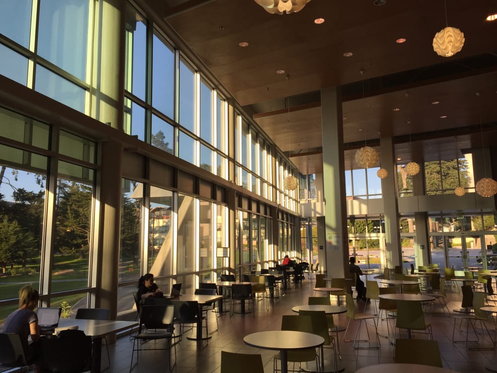 SFSU - J. PAUL LEONARD LIBRARY - Updated October 2025 - 62 Photos & 53 ...