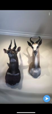 POWER RANGERS ELECTRIC - Updated December 2024 - Request a Quote - 17 ...