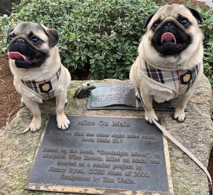 MICE ON MAIN - Updated November 2024 - 23 Photos - 117 N Main St ...