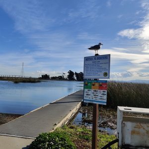 VASCO CAVES REGIONAL PRESERVE - 20 Photos - 19450 Marsh Creek Rd ...