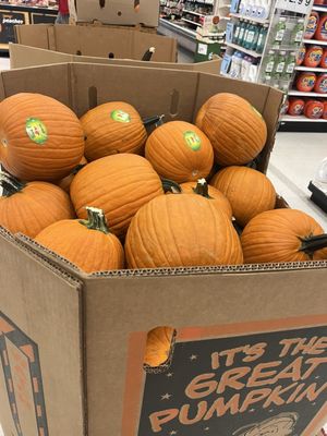 TARGET - Updated March 2026 - 59 Photos & 29 Reviews - 4600 High Pointe ...