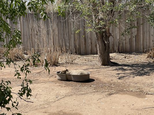 ALAMEDA PARK ZOO - Updated January 2026 - 157 Photos & 53 Reviews ...